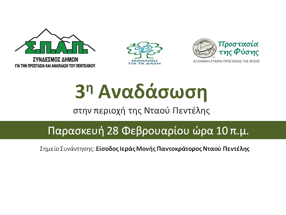 Σ.Π.Α.Π.: 3η Αναδάσωση για το 2020 στη Νταού Πεντέλη – Σ.Π.Α.Π.